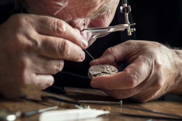 Watchup - Business Game Optigest